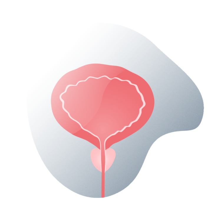 Unidad de Próstata Andromedi: HBP, cáncer, etc