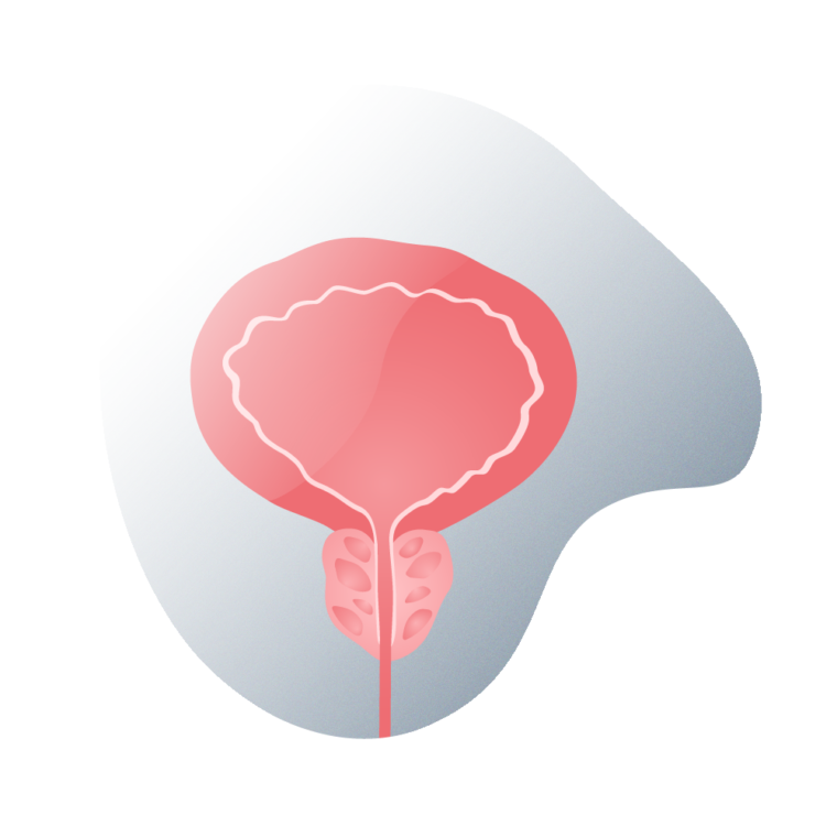 Unidad de Próstata Andromedi: HBP, cáncer, etc